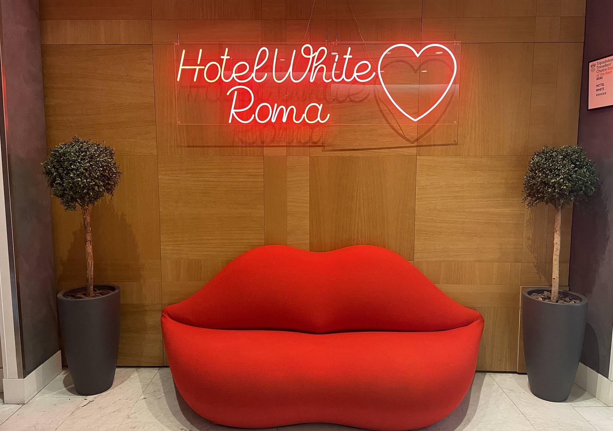 Hotel White | 4-Star Hotel in Rome | Official Website